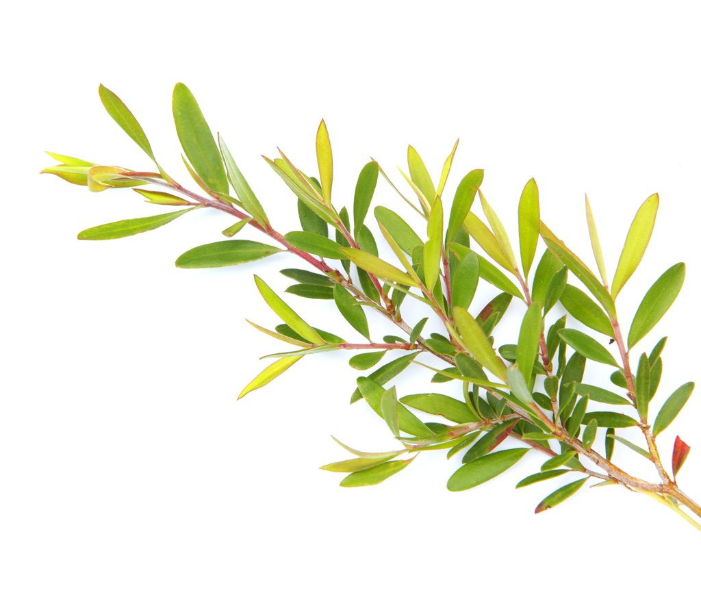 Breathe Essential Oil Inhalers in USA – MOXĒ